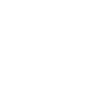 BD Performance - Mod Central